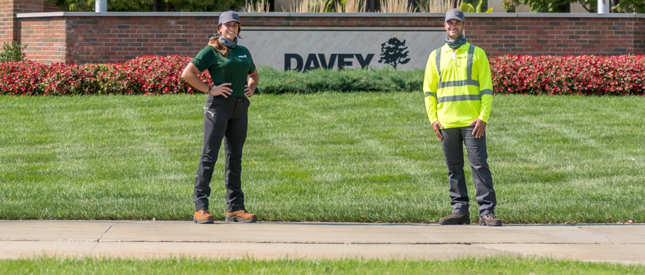 Tree Care & Lawn Care Rochester, MN | Maier Tree & Lawn