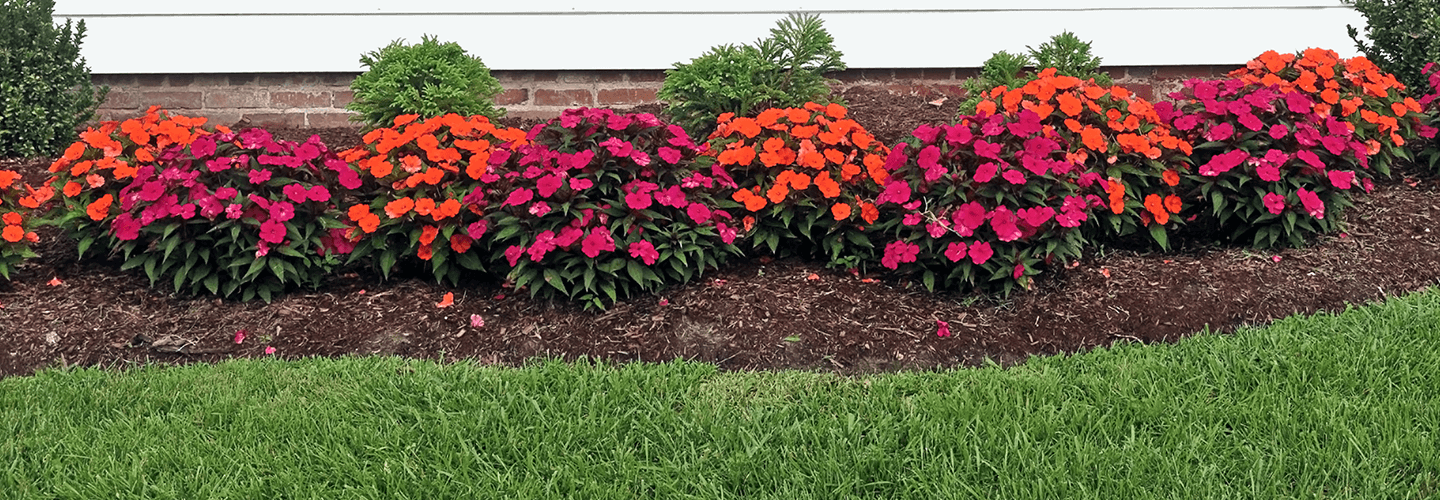 Landscape Maintenance | Maier Tree & Lawn