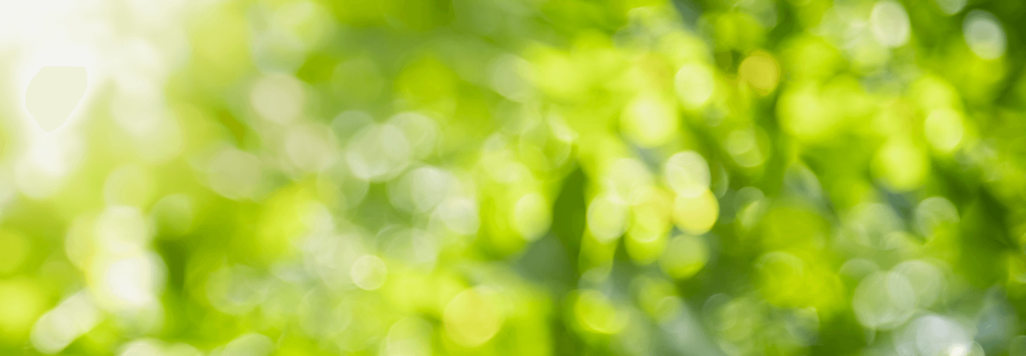 Tree Fertilization In Rochester Mn Maier Tree Lawn