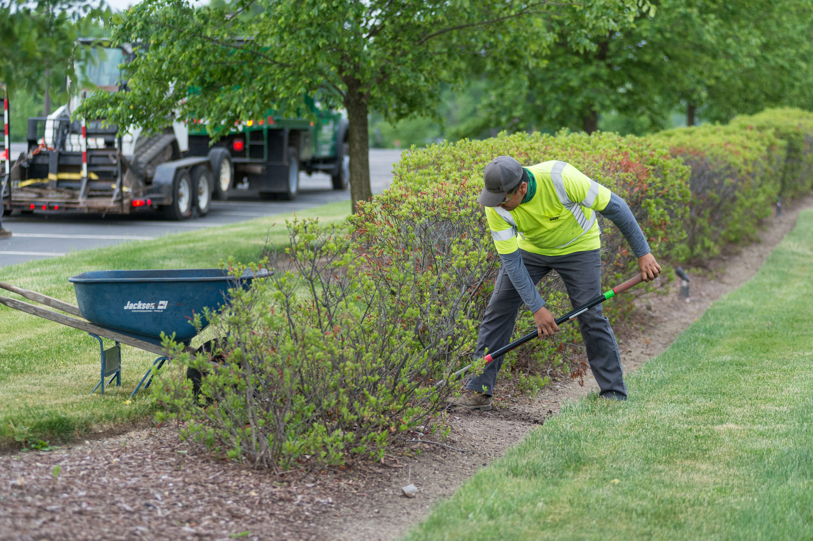 Shrub Removal Near Rochester, MN | Maier Tree & Lawn