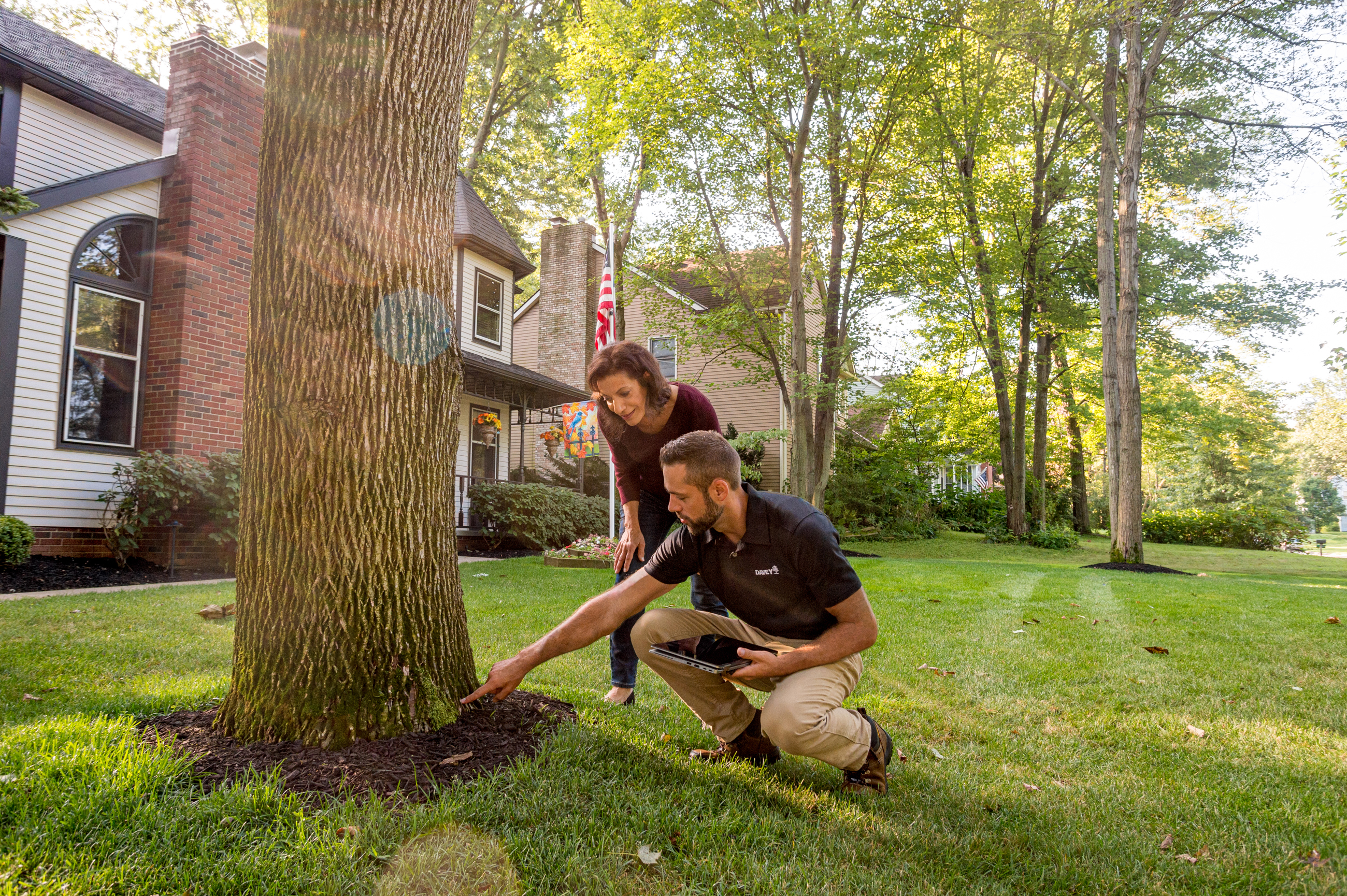 About Us | Maier Tree & Lawn