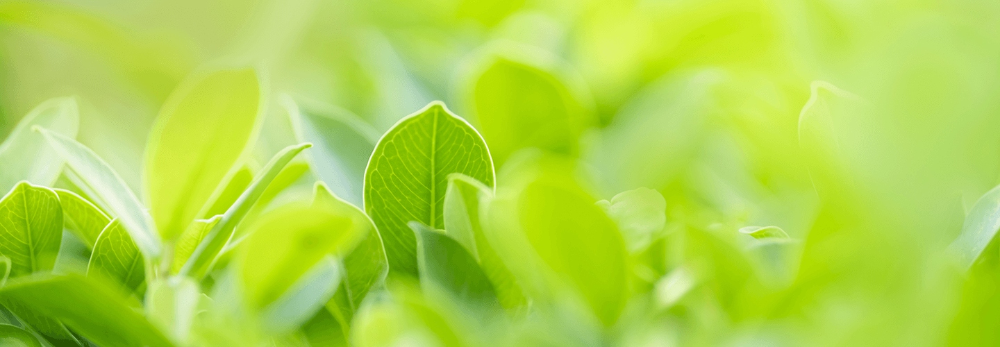 Contact Us | Maier Tree & Lawn