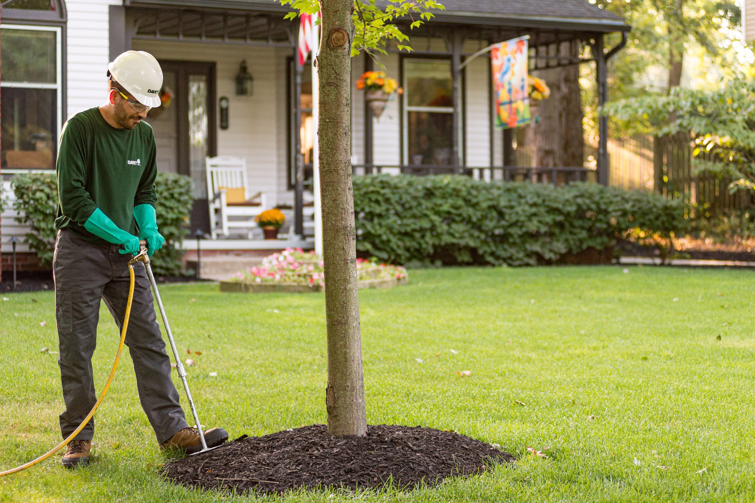 Fertilization Services Near Rochester, MN | Maier Tree & Lawn