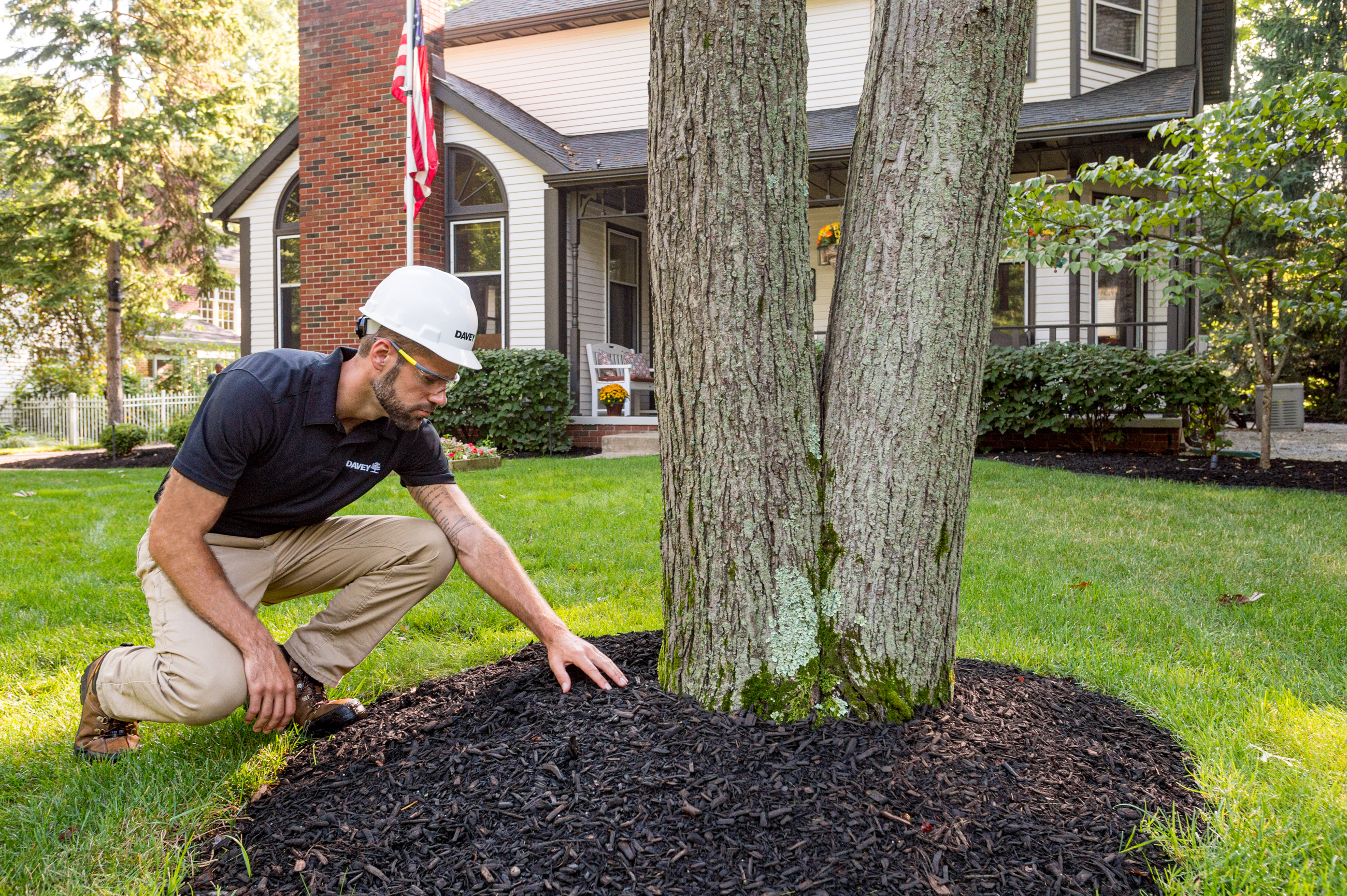 Local Tree Services in Rochester, MN | Maier Tree & Lawn